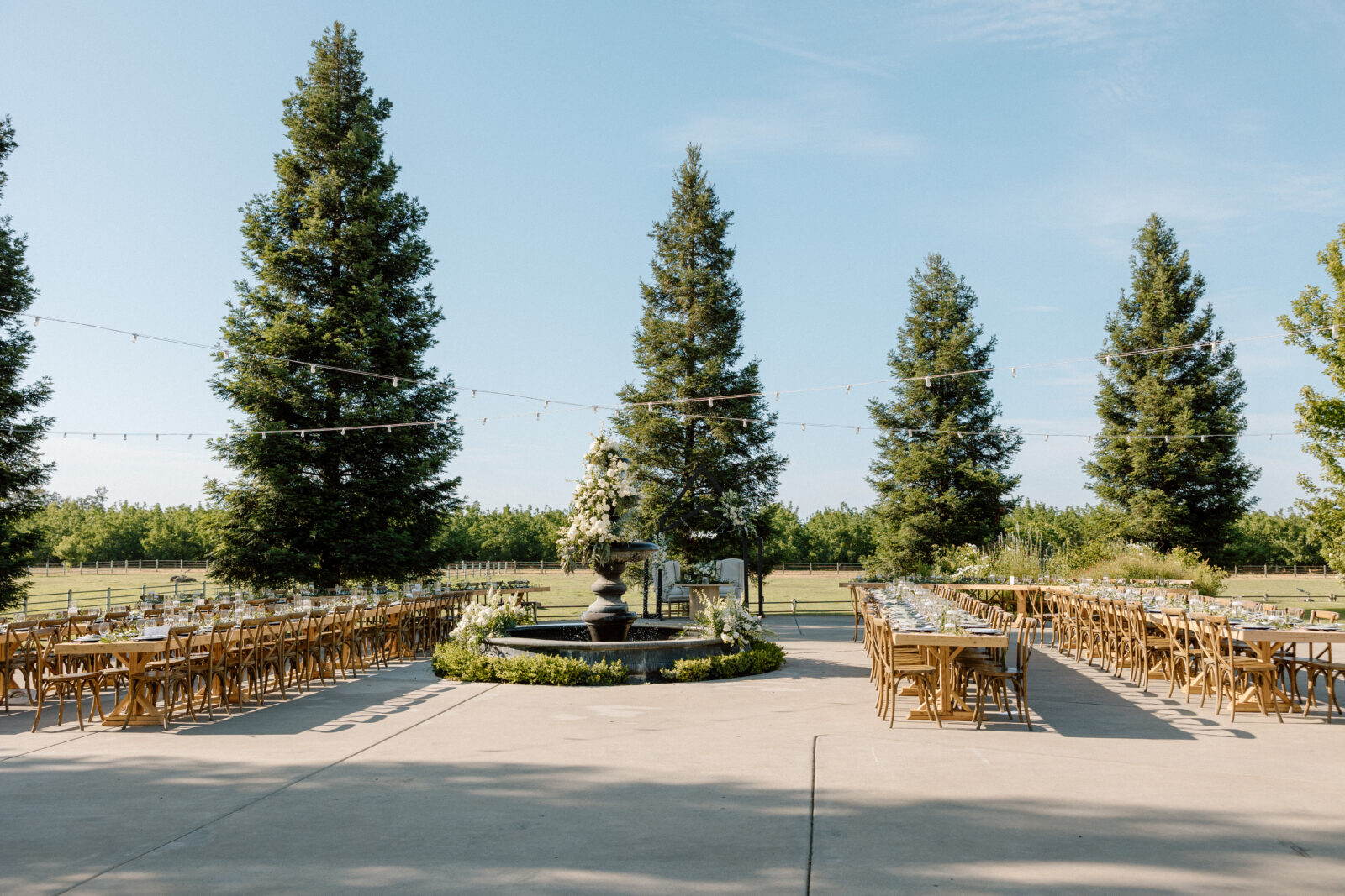 Elevated Sacramento Ranch Wedding Full of Curated Details - Showit Blog